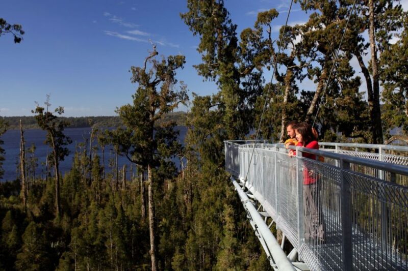 Greymouth: Hokitika Gorge and Tree Top Walkway Half-Day Tour - Comfort, Convenience, and Value