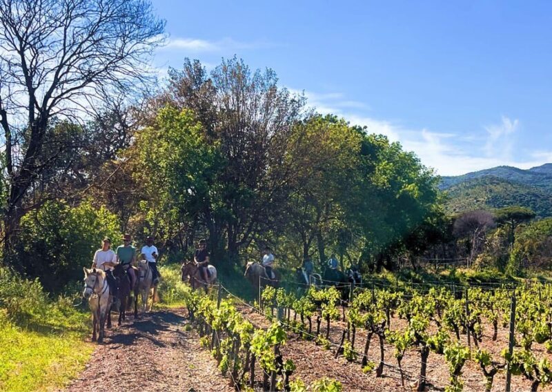 Grimaud: Horseback Riding & Wine Tasting in Maures Forest - Starting Point: Ranch la Mène
