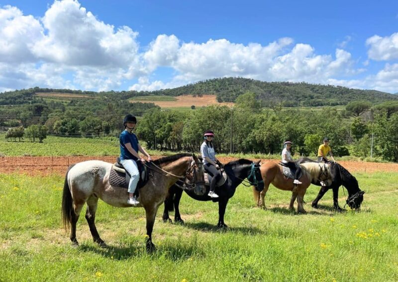 Grimaud: Horseback Riding & Wine Tasting in Maures Forest - The Horse Ride: Scenic, Gentle, and Informative