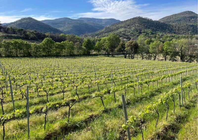 Grimaud: Horseback Riding & Wine Tasting in Maures Forest - What If the Weather Isn’t Cooperative?