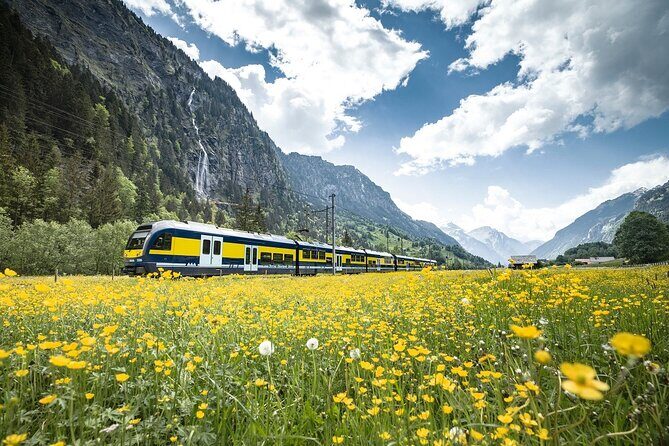 Grindelwald First - Top of Adventure from Lucerne - An In-Depth Look at the Tour Experience