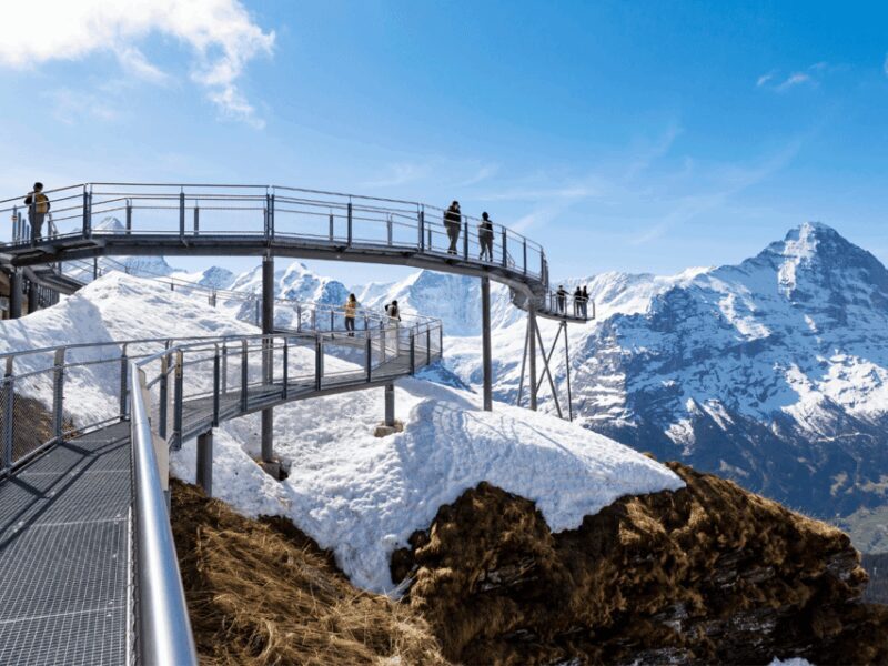 Grindelwald First Top of Adventure Private Trip - The Itinerary Breakdown