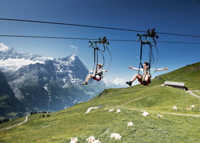 Grindelwald Gondola Ride to Mount First - Timing and Practical Tips