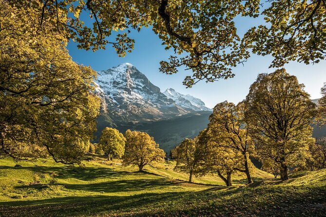 Grindelwald, Interlaken and Lauterbrunnen Day Trip from Lucerne - Authentic Experiences and Personal Touches