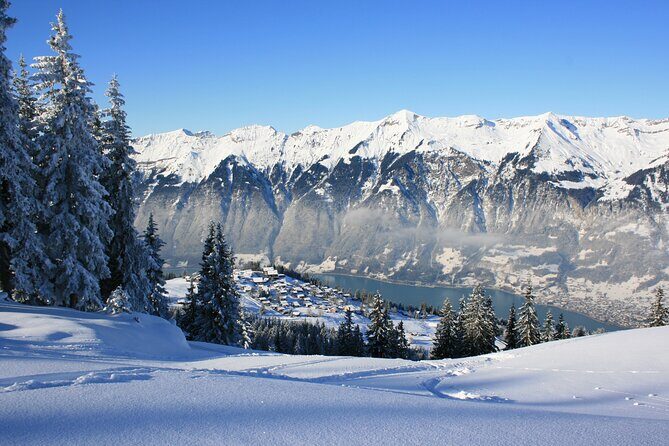 Grindelwald, Interlaken and Lauterbrunnen Day Trip from Lucerne - Who Should Consider This Tour?