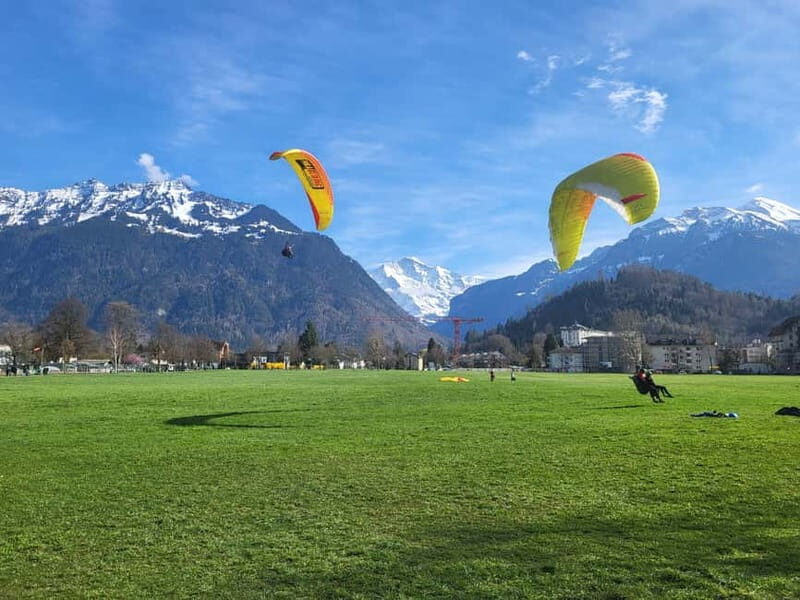 Grindelwald Lauterbrunnen Interlaken Swiss Alps Private Tour - A Practical Overview of the Tour Experience