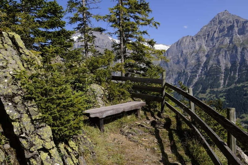 Grindelwald Private Walking tour - Exploring the Grindelwald Private Walking Tour: A Deep Dive into Alpine Charm