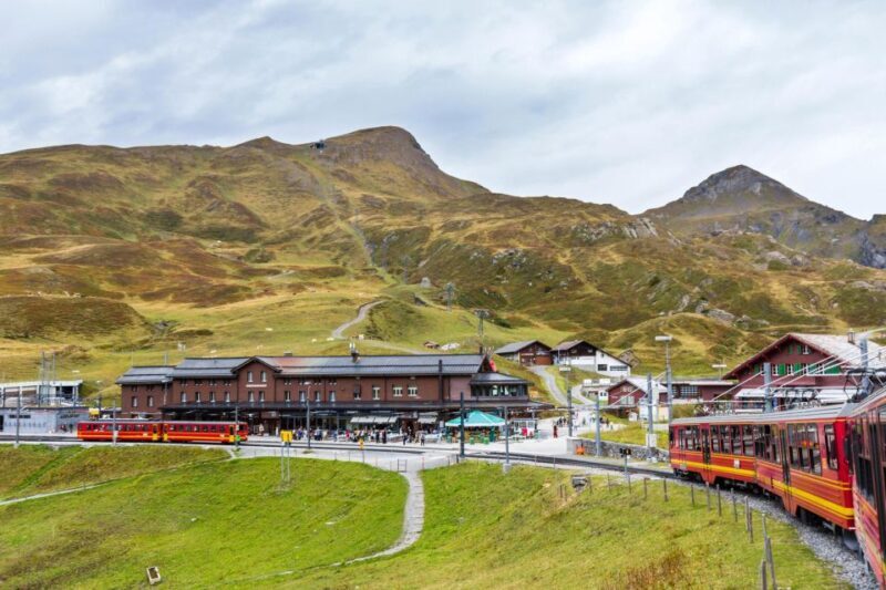 Grindelwald -Scheidegg-Lauterbrunnen Small Group Day Trip - Who Should Consider This Tour?
