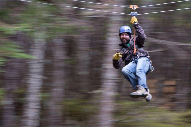 Grizzly Falls Ziplining Expedition - Price and Value Analysis