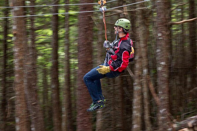 Grizzly Falls Ziplining Expedition - FAQs