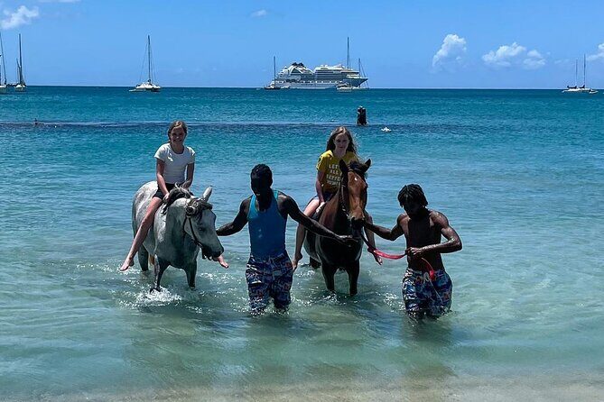 Gros Islet Village Horseback Riding run with Dore's riding Stable - What to Expect from the Horseback Riding Tour in St. Lucia