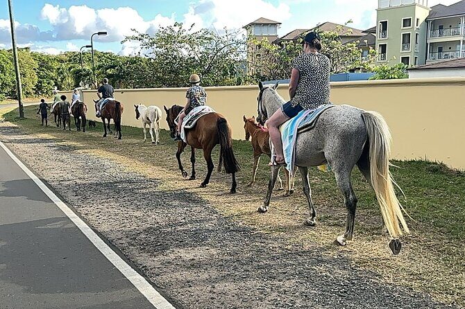 Gros Islet Village Horseback Riding run with Dore's riding Stable - FAQ