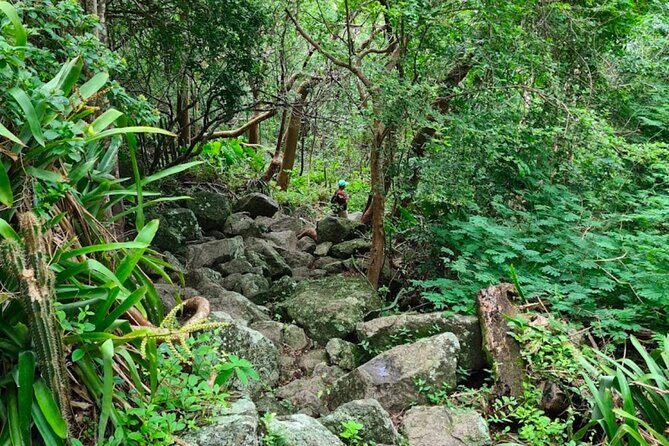 Gros Piton Adventure with Tour For The Day - Final Thoughts: Is This Tour Worth It?