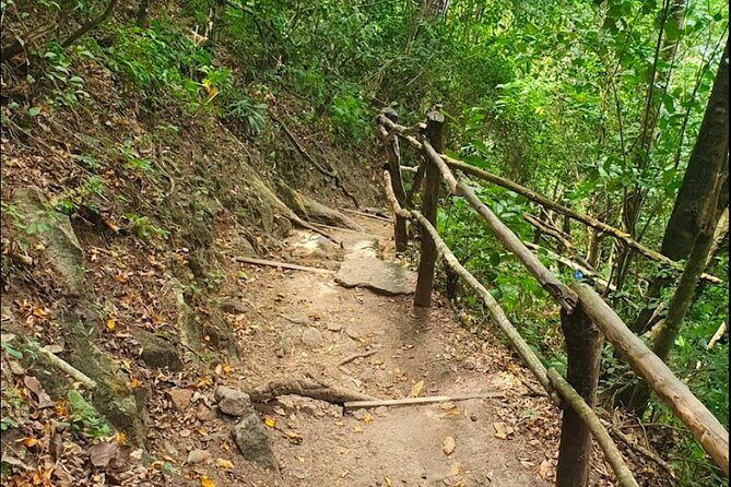 Gros Piton Adventure with Tour For The Day - Who Should Consider This Tour?