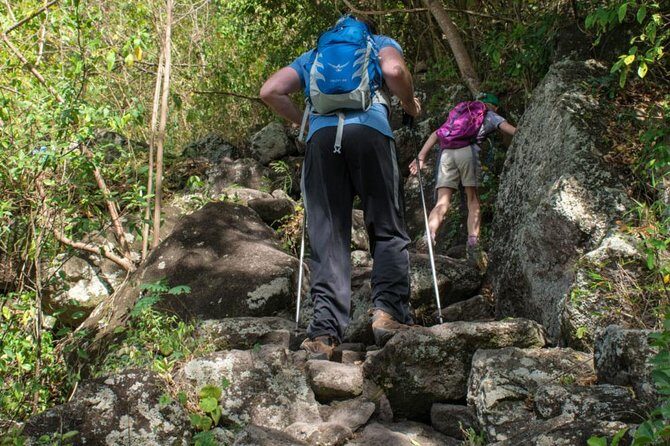 Gros Piton Hike - Why This Tour Works Well for You