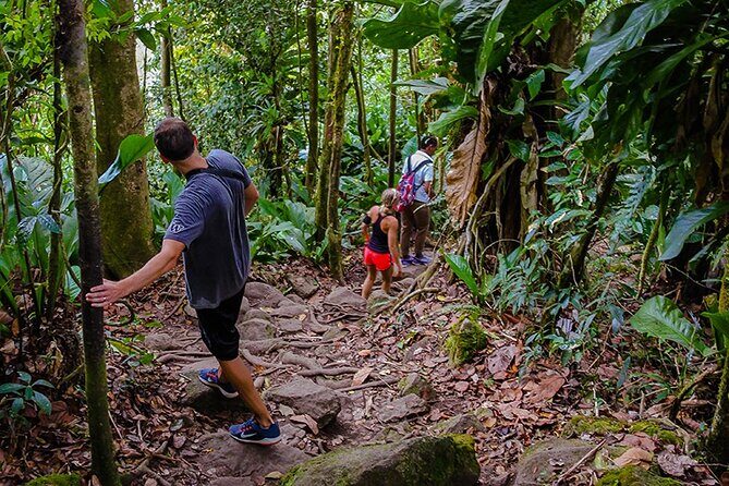 Gros Piton Hike in St. Lucia (Private) - Who Will Love This Tour?