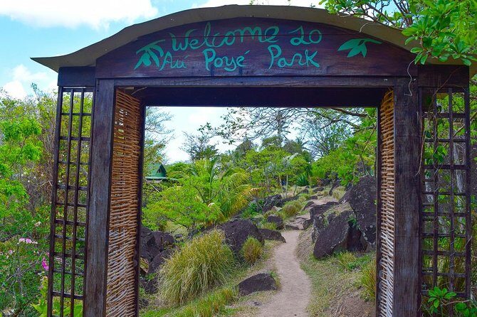 Gros Piton Hike St Lucia - Practical Tips for Your Gros Piton Hike