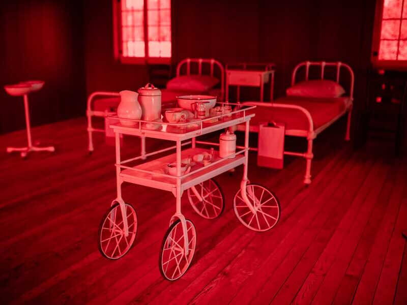 Grosse-Île: Irish Immigrant Memorial Cruise & Tour - Authentic Experiences and Traveler Perspectives