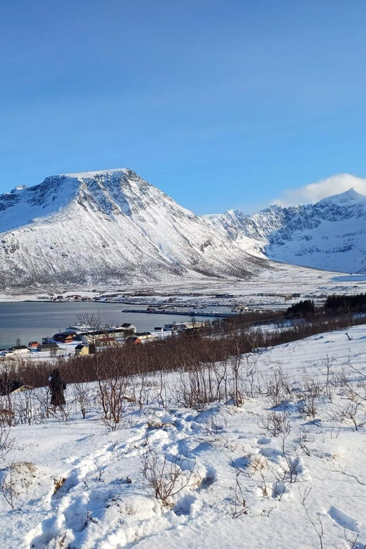 Grøtfjord, Tromsø. Unique Artic scenic route. - Authentic Local Flavors
