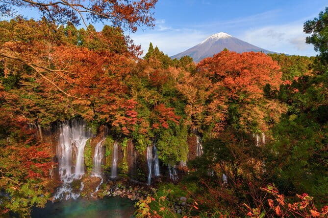 Group 1 Day Tour of Mt. Fuji and Hakone: Onsen, Arts, and Nature - An In-Depth Look at the Experience
