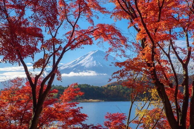 Group 1 Day Tour of Mt. Fuji and Hakone: Onsen, Arts, and Nature - FAQs