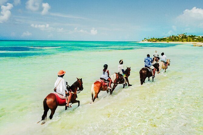 Group Beach and Ocean Horseback Adventure in Providenciales - Discovering the Unique Experience of a Beach and Ocean Horseback Ride