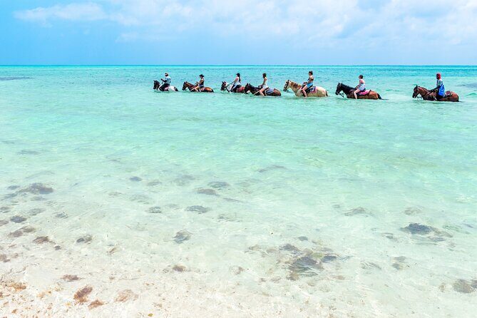 Group Beach and Ocean Horseback Adventure in Providenciales - The Sum Up