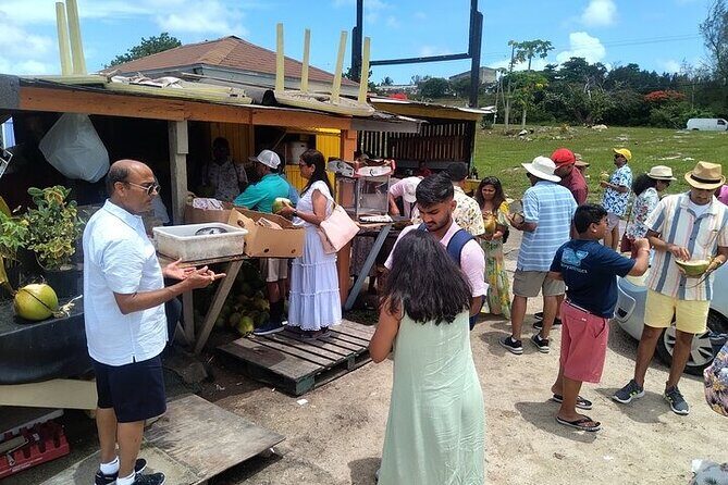 Group City Tour and Beach Experience from Cruise Port - Exploring Nassau: A Balanced Look at the City & Beach Experience