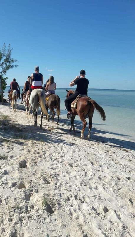 Group horseback ride on Holbox Island, Quintana Roo - Key Points