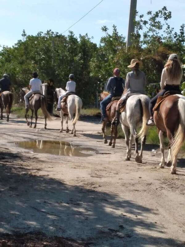 Group horseback ride on Holbox Island, Quintana Roo - The Route and Its Unique Features