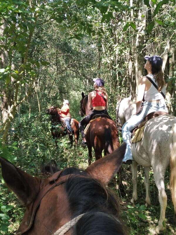 Group horseback ride on Holbox Island, Quintana Roo - The Guide and Their Role