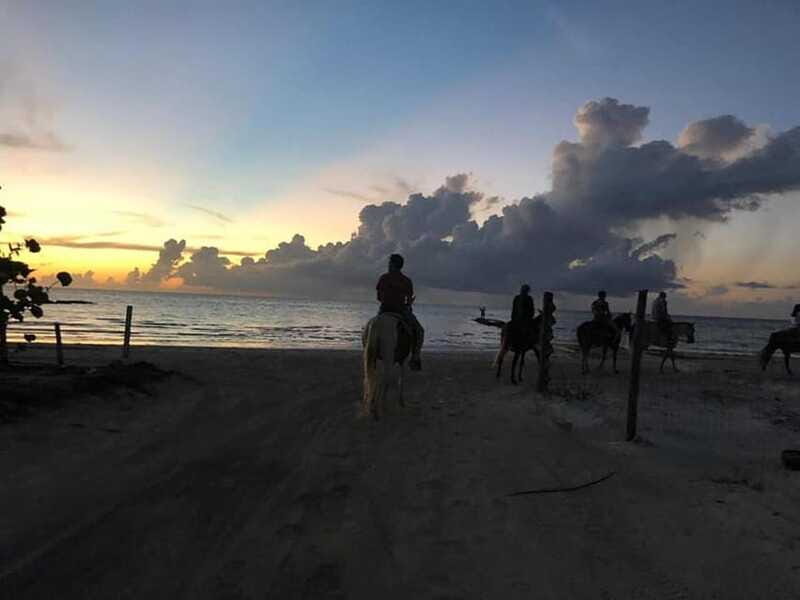 Group horseback ride on Holbox Island, Quintana Roo - The Horses and Their Care