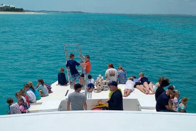 Group Reef, Beach and Sandbar Tour from Providenciales - Authenticity and Overall Value
