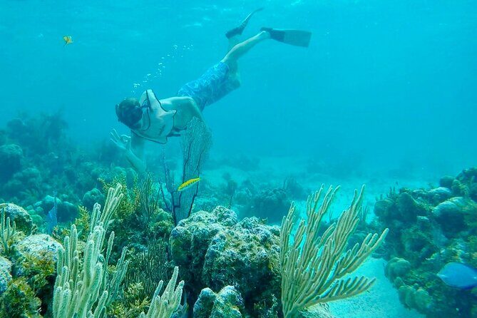 Group Reef, Beach and Sandbar Tour from Providenciales - Who Should Book This Tour?