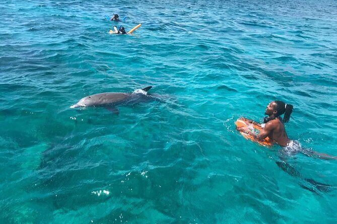 Group Reef, Beach and Sandbar Tour from Providenciales - FAQs About the Group Reef, Beach and Sandbar Tour