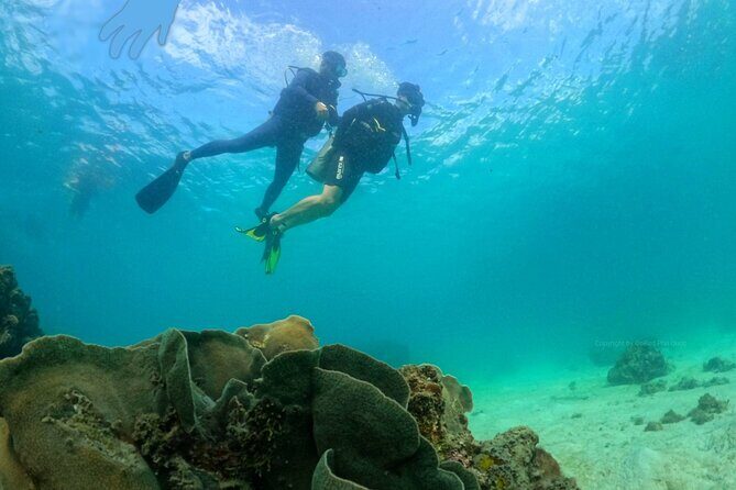 [GROUP] SCUBA DIVING For Beginners in Phu Quoc Island (TRY DIVE) - A Closer Look at the Tour Experience