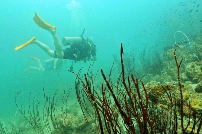 [GROUP] SCUBA DIVING for Certified Divers in Phu Quoc Island - The Itinerary in Detail