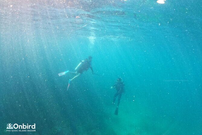 [GROUP] SCUBA DIVING for Certified Divers in Phu Quoc Island - The Sum Up