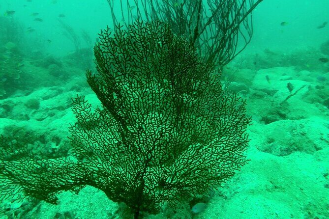 [GROUP] SCUBA DIVING for Certified Divers in Phu Quoc Island - FAQ