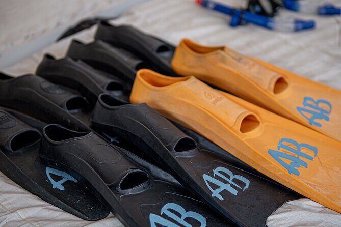 Group Snorkeling Tour Gili Islands Including GoPro Documentation - FAQs