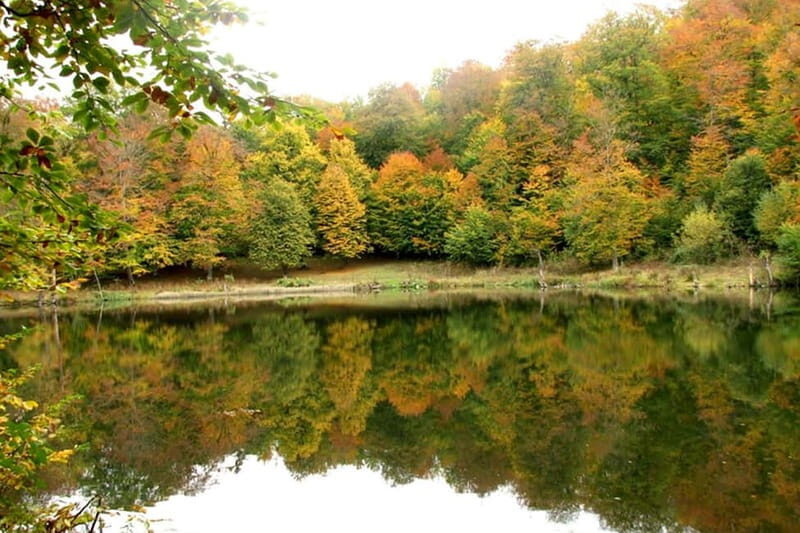 Group Tour: Dilijan, Parz Lake, Makaravank, wine factory - Exploring Armenia’s Natural and Cultural Highlights