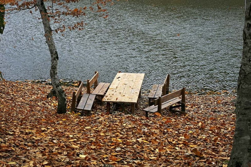 Group Tour: Dilijan, Parz Lake, Makaravank, wine factory - Final Thoughts