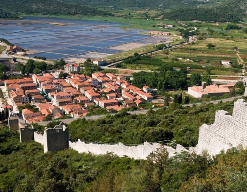 Group Tour From Dubrovnik: Ston and Peljesac Wineries Tour - The Wineries and Wine Tasting Experience