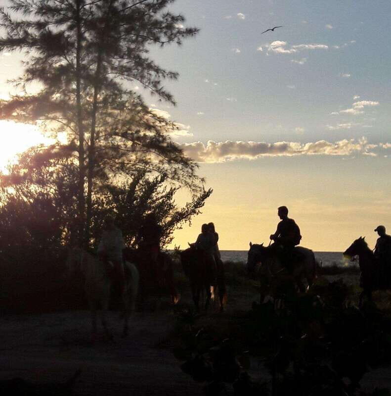 Group Tour of Holbox Island, Quintana Roo - Understanding the Experience: A Thorough Breakdown