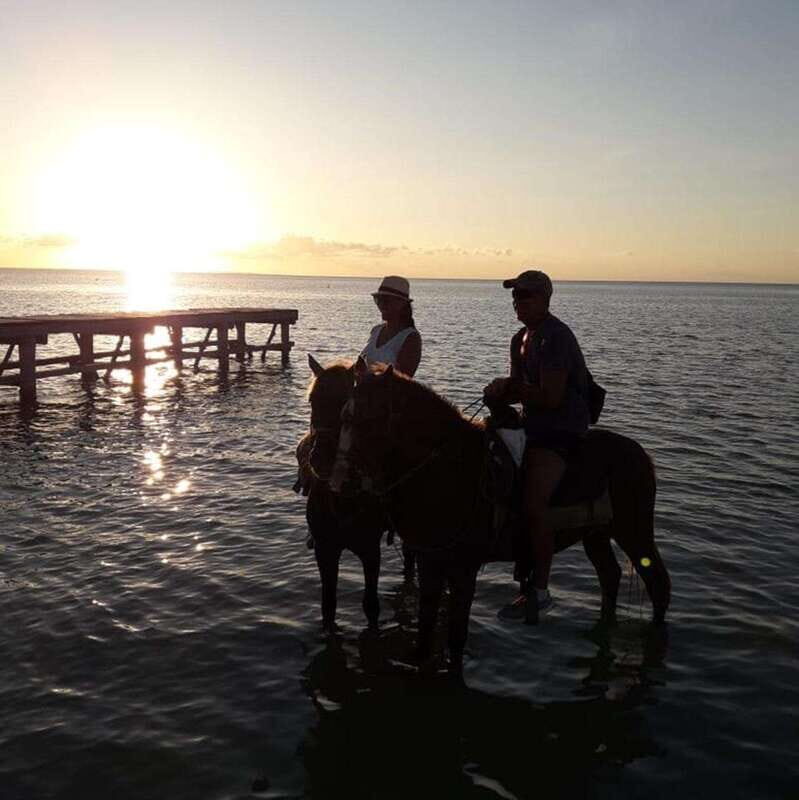 Group Tour of Holbox Island, Quintana Roo - Practical Details and Tips