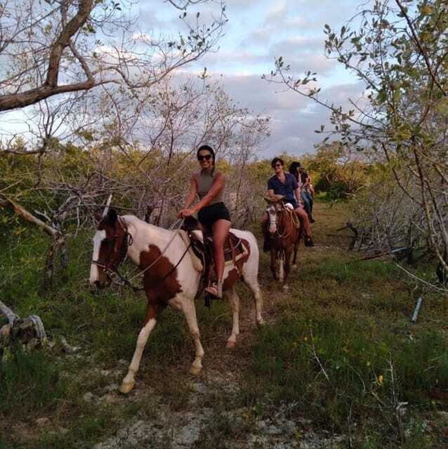Group Tour of Holbox Island, Quintana Roo - Who Would Appreciate This Tour?