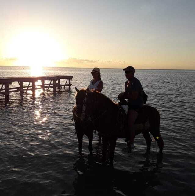 Group Tour of Holbox Island, Quintana Roo - The Sum Up
