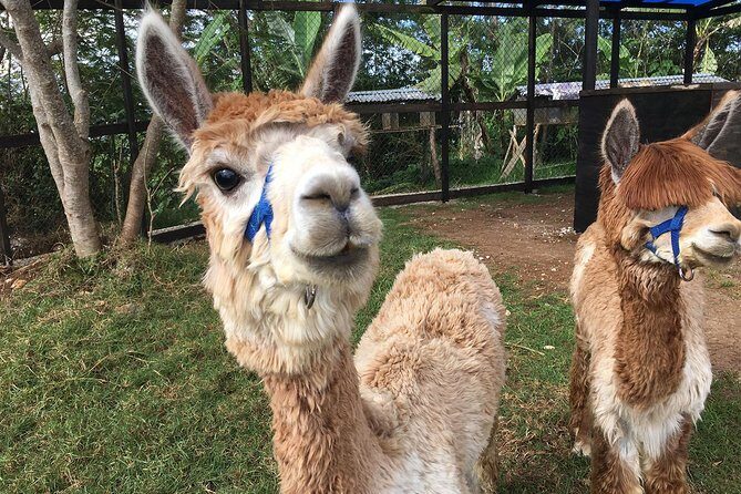 Group Tour of Nature Park - Key Points