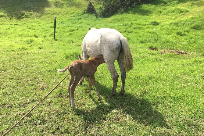 Group Tour of Nature Park - Discovering Haiti’s Hidden Green Gems