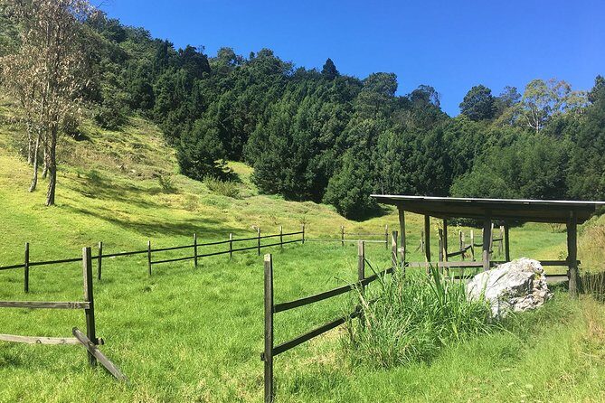 Group Tour of Nature Park - Real Traveler Insights (from the reviews and info available)